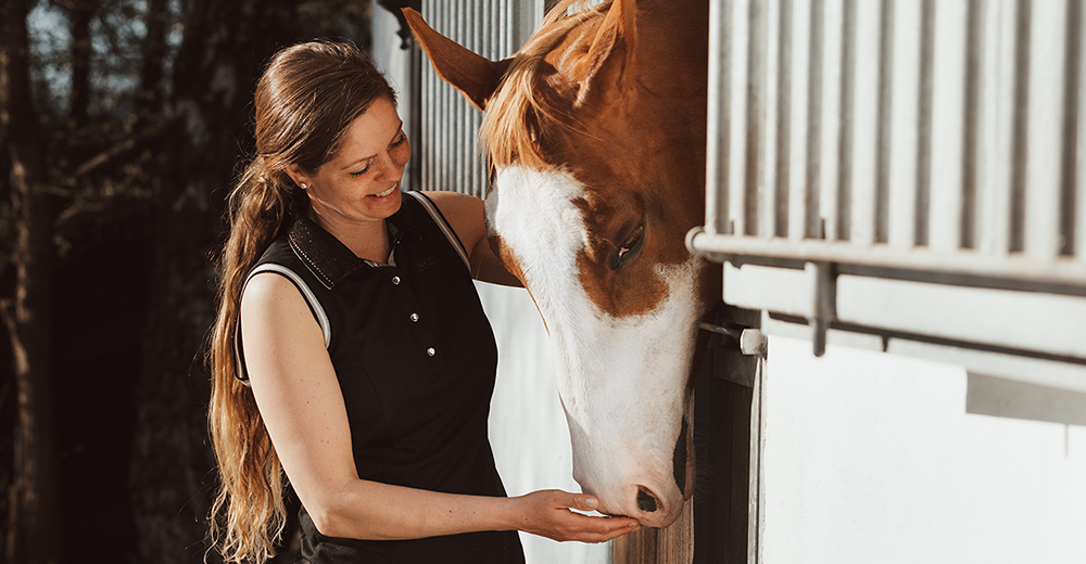 Paint Horse Journal: Exploring the Heart of the Paint Horse Industry ...