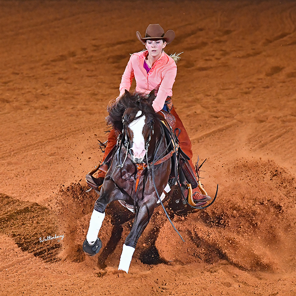 APHA stallion helps cement history at 2024 NRHA Futurity | APHA